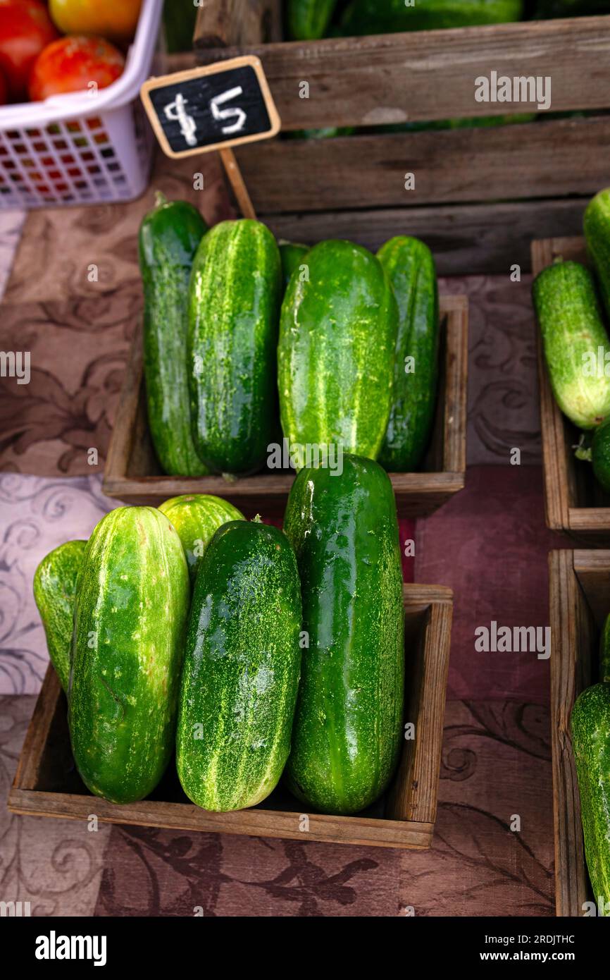 Overhead view of small pickling cucumbers on display at the local ...