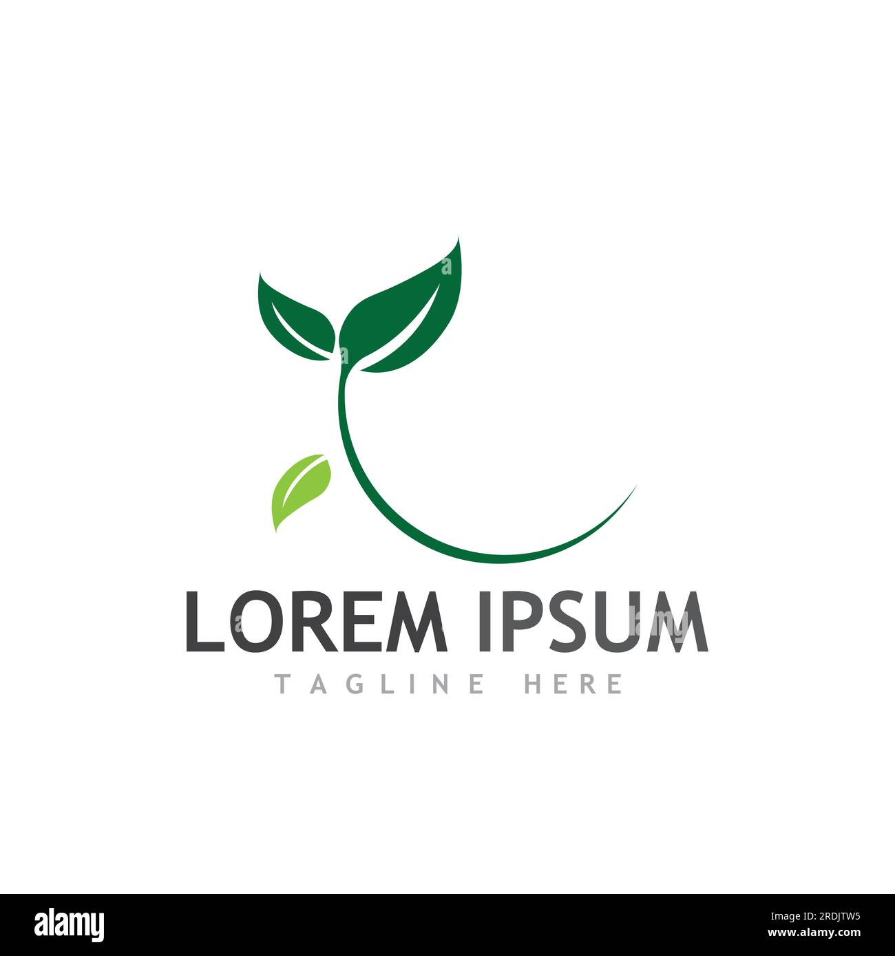 Monstera leaf wallpaper botanical Cut Out Stock Images & Pictures - Alamy