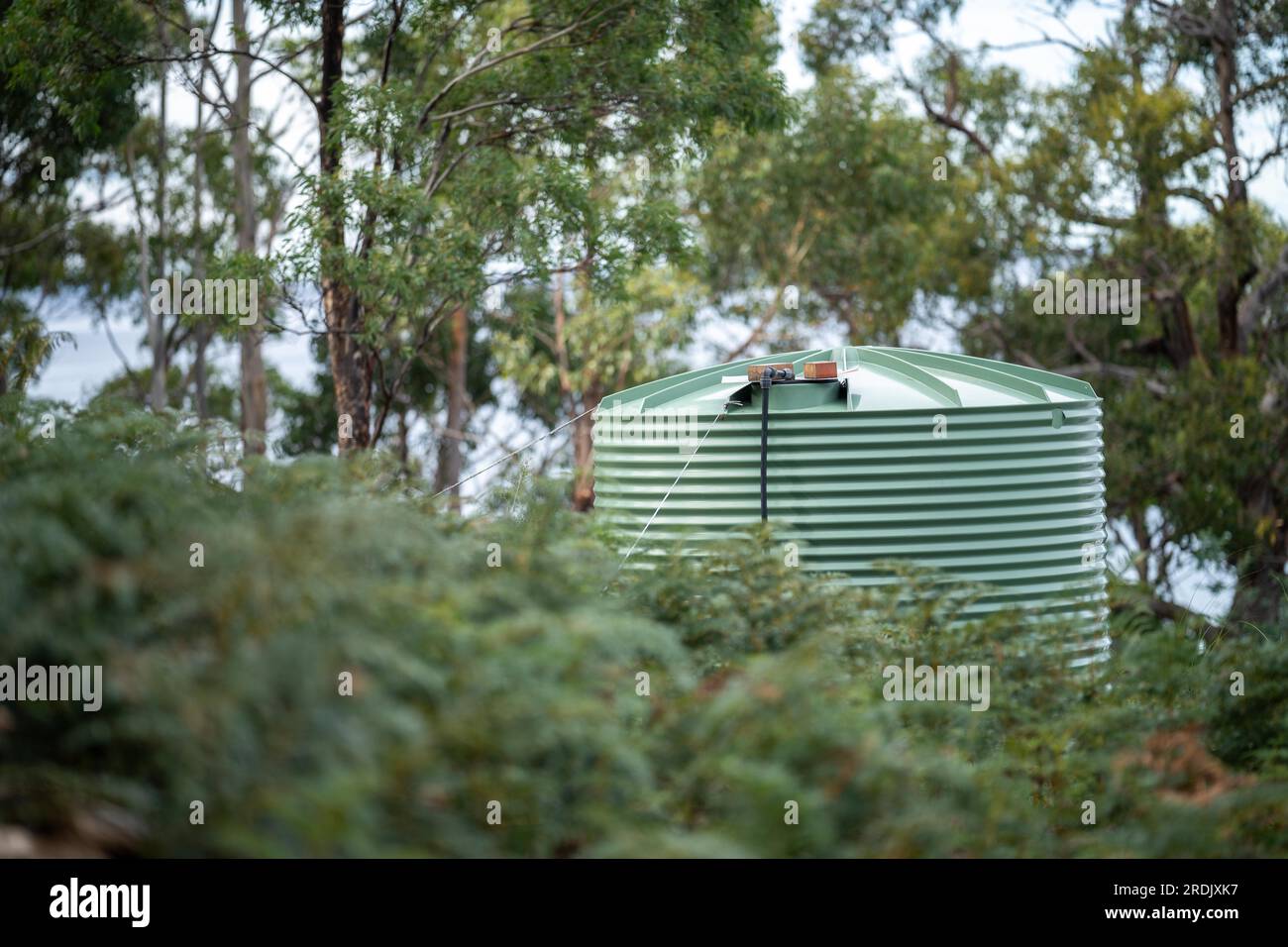 Plastic water tank in the forest of an off grid house in Australia in ...