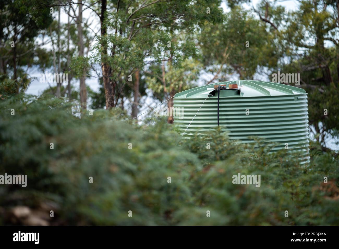 Plastic water tank in the forest of an off grid house in Australia in ...