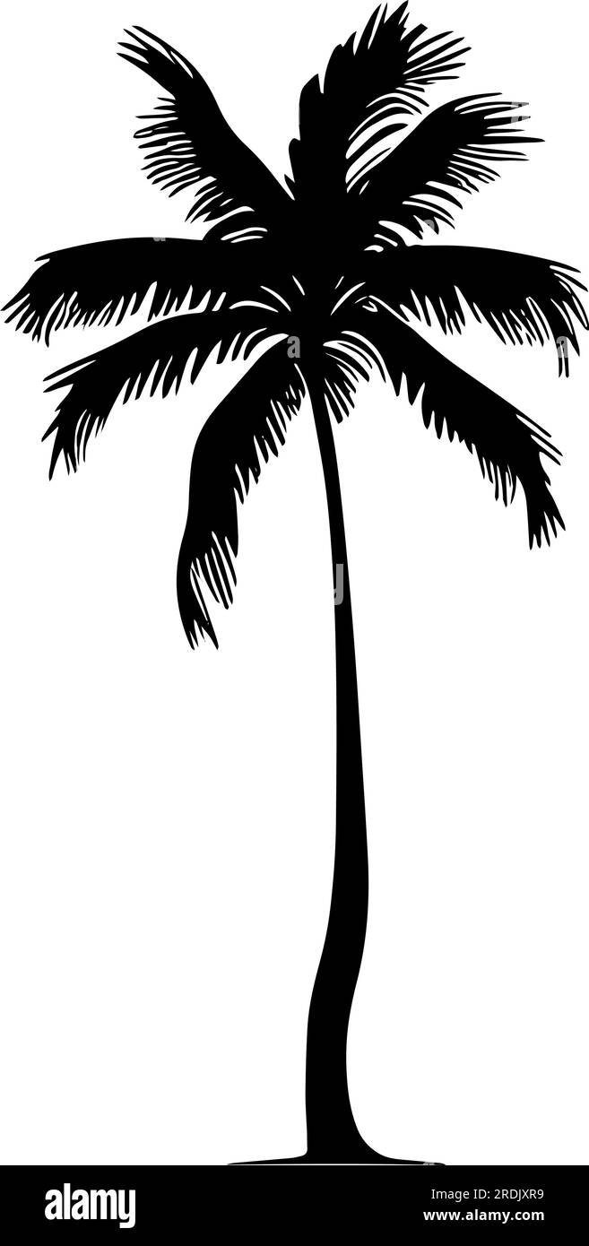 Palm tree silhouette. Vector illustration Stock Vector Image & Art - Alamy Palm tree silhouette. Vector illustration Stock Vector Image & Art - Alamy