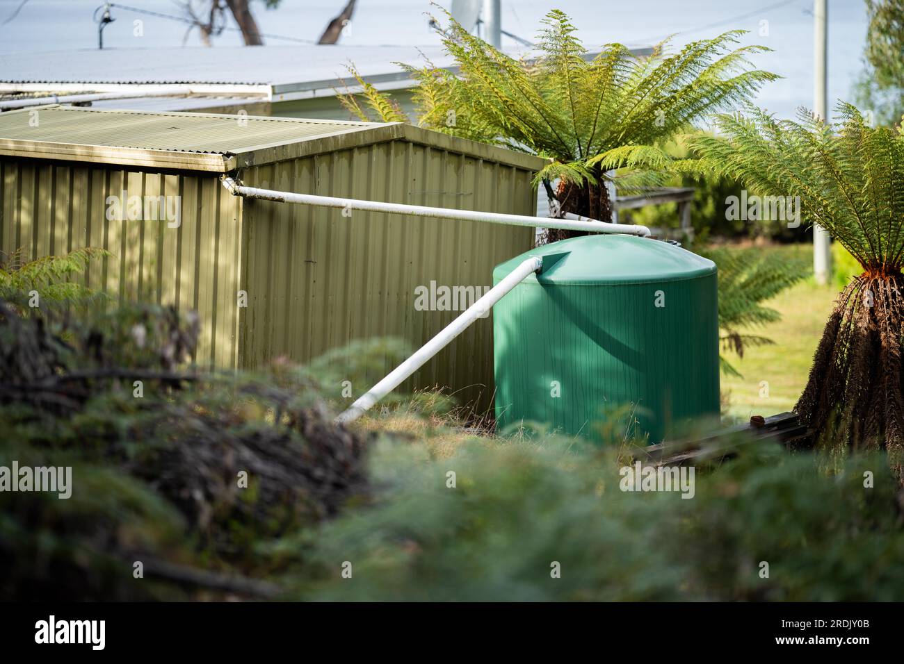 Plastic water tank in the forest of an off grid house in Australia in ...