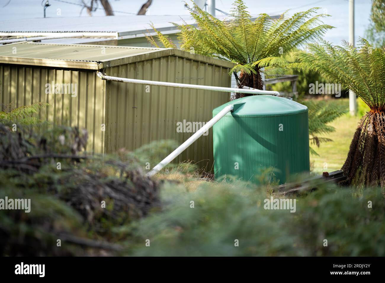 Plastic water tank in the forest of an off grid house in Australia in ...