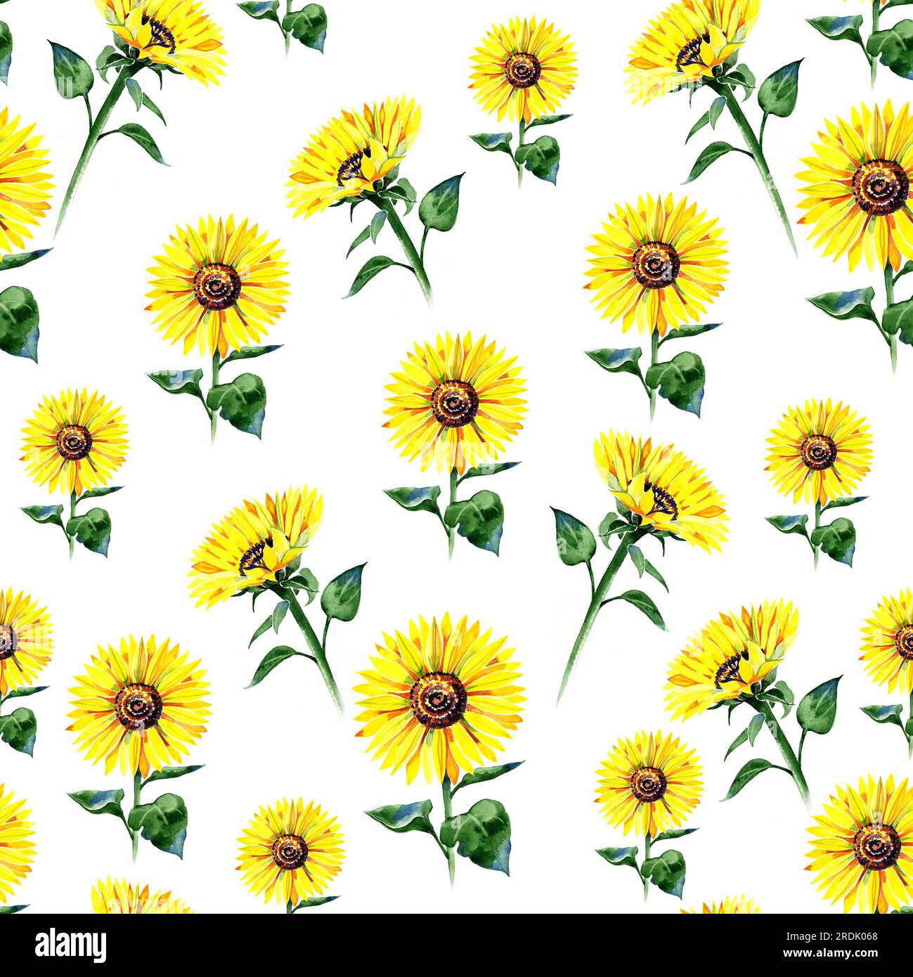 Seamless watercolour sunflowers pattern Stock Photo - Alamy