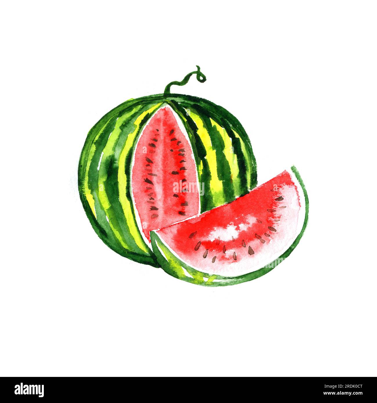 Watercolor watermelon set isolated on white background Stock Photo - Alamy