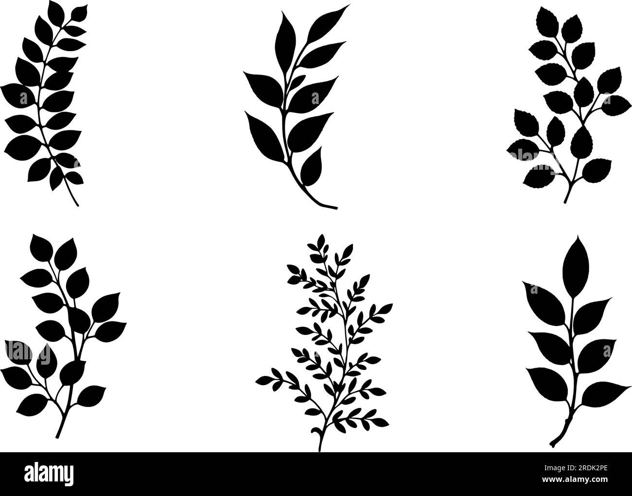 Set of Branches with leaves and stem silhouette. Vector illustration ...
