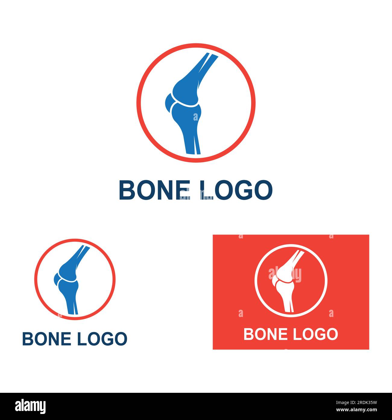 Bone logo icon vector design Stock Vector Image & Art - Alamy