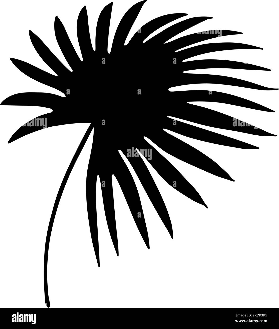 Tropical palm leaf silhouette. Vector illustration Stock Vector Image ...
