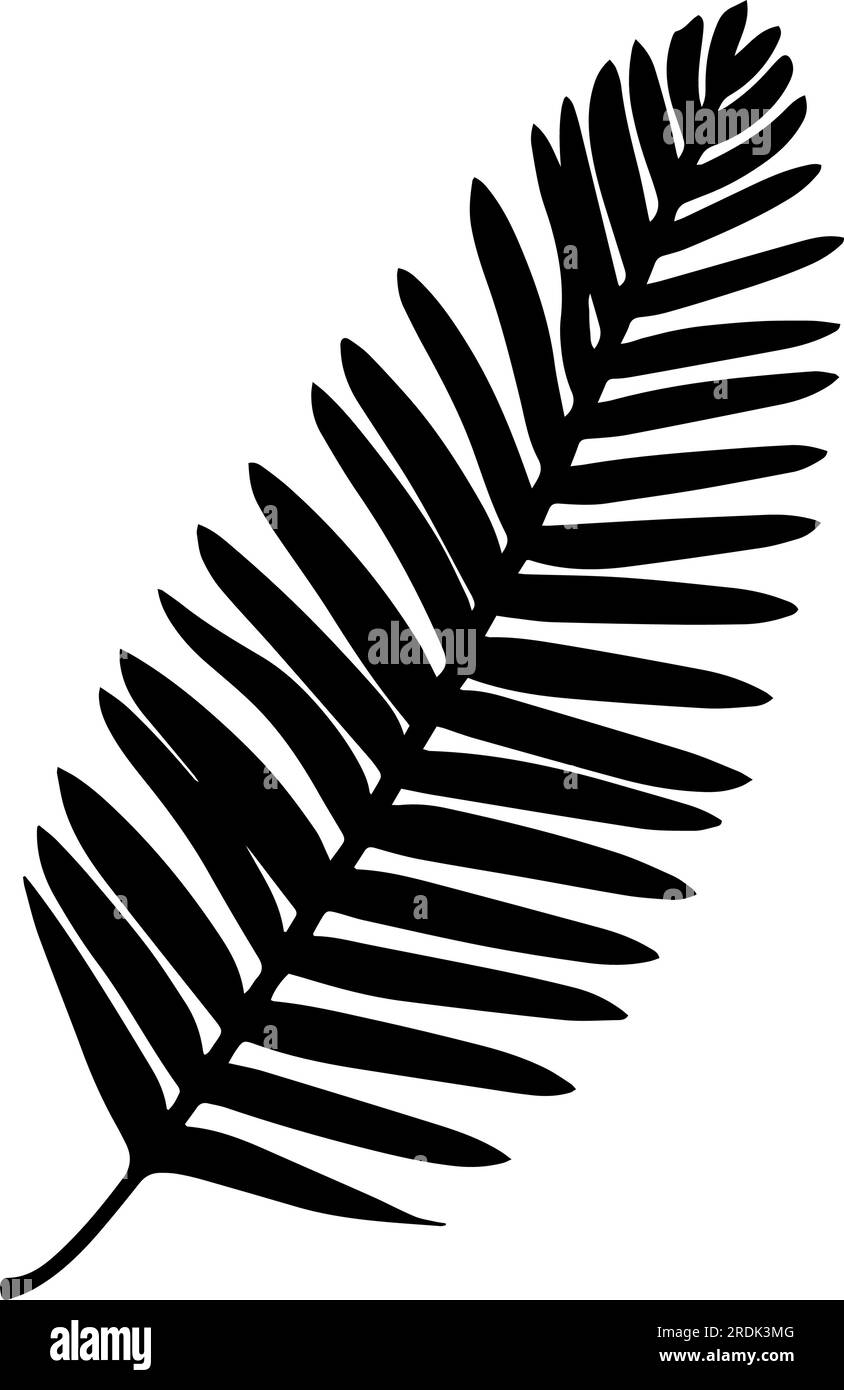 Palm tree leaf silhouette. Vector illustration Stock Vector Image & Art ...