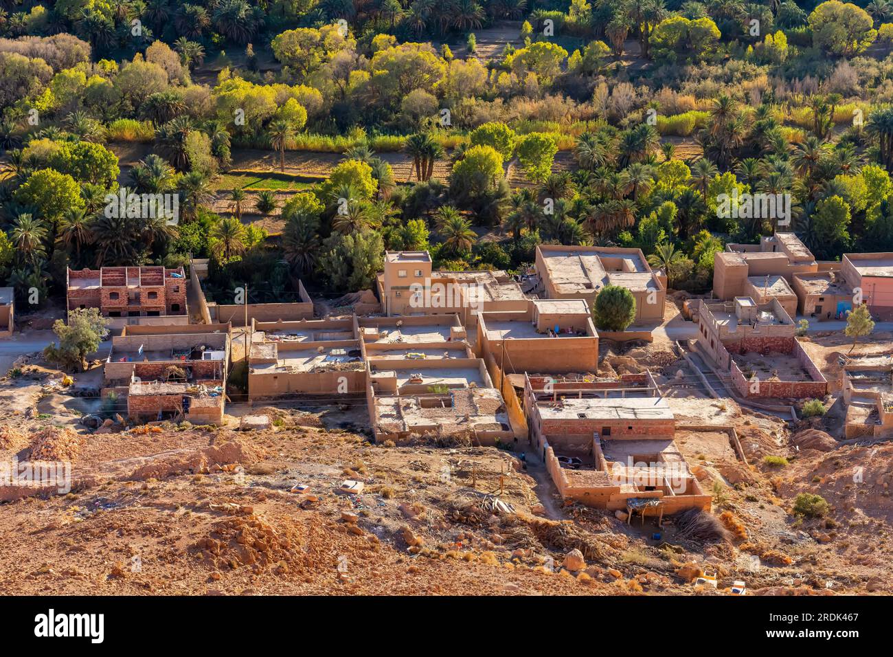 Oasis in ziz valley morocco hi-res stock photography and images - Alamy