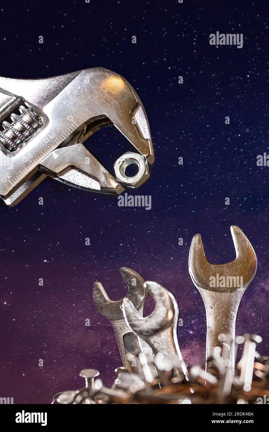 Baby bird feed nest hi-res stock photography and images - Alamy