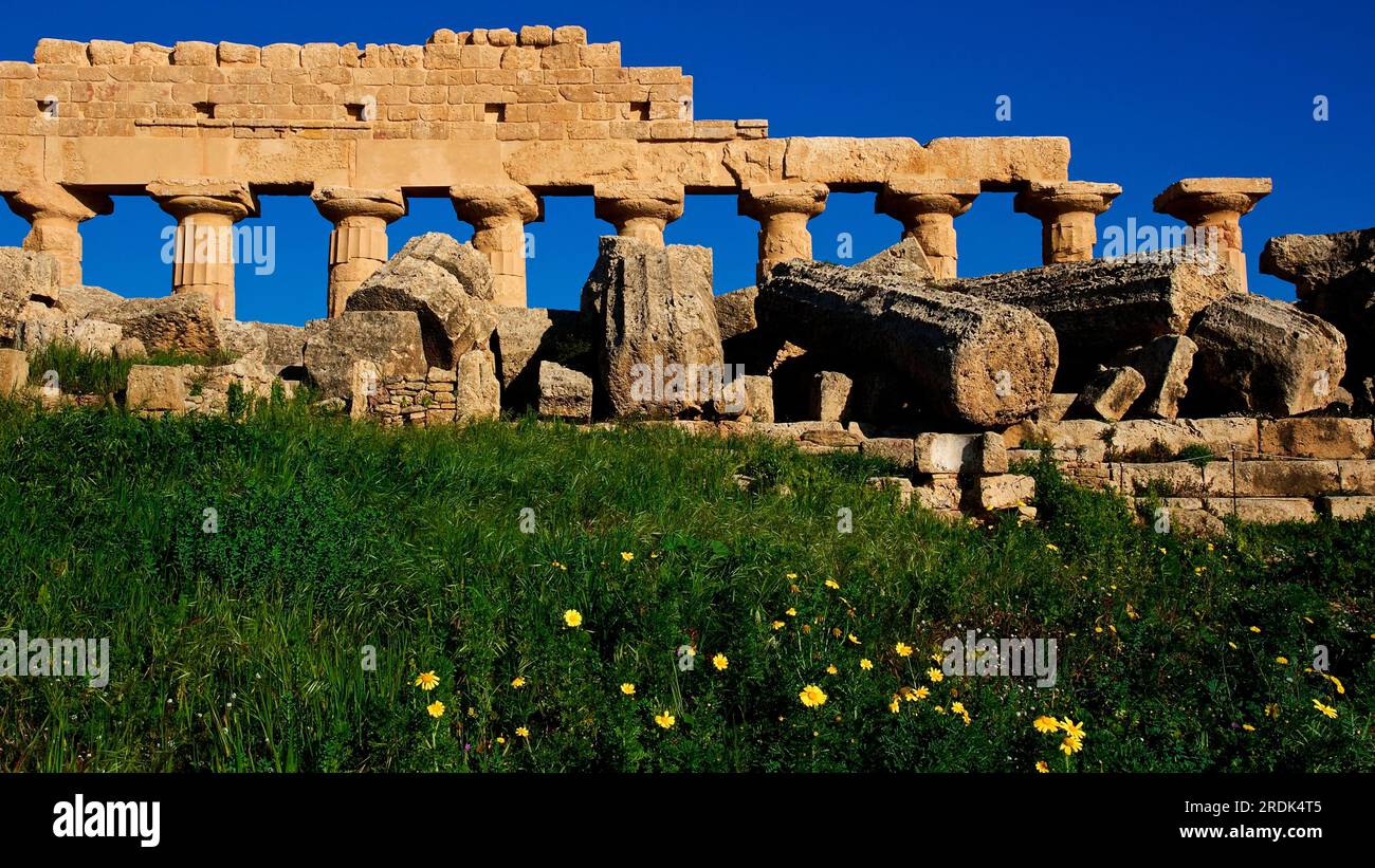Column row, chapter, entablature, column remains, green meadow, temple ...