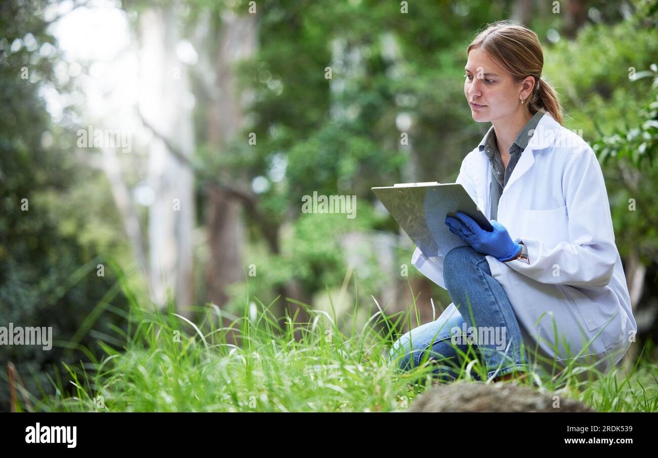 Studying plant scientist forest hi-res stock photography and images - Alamy