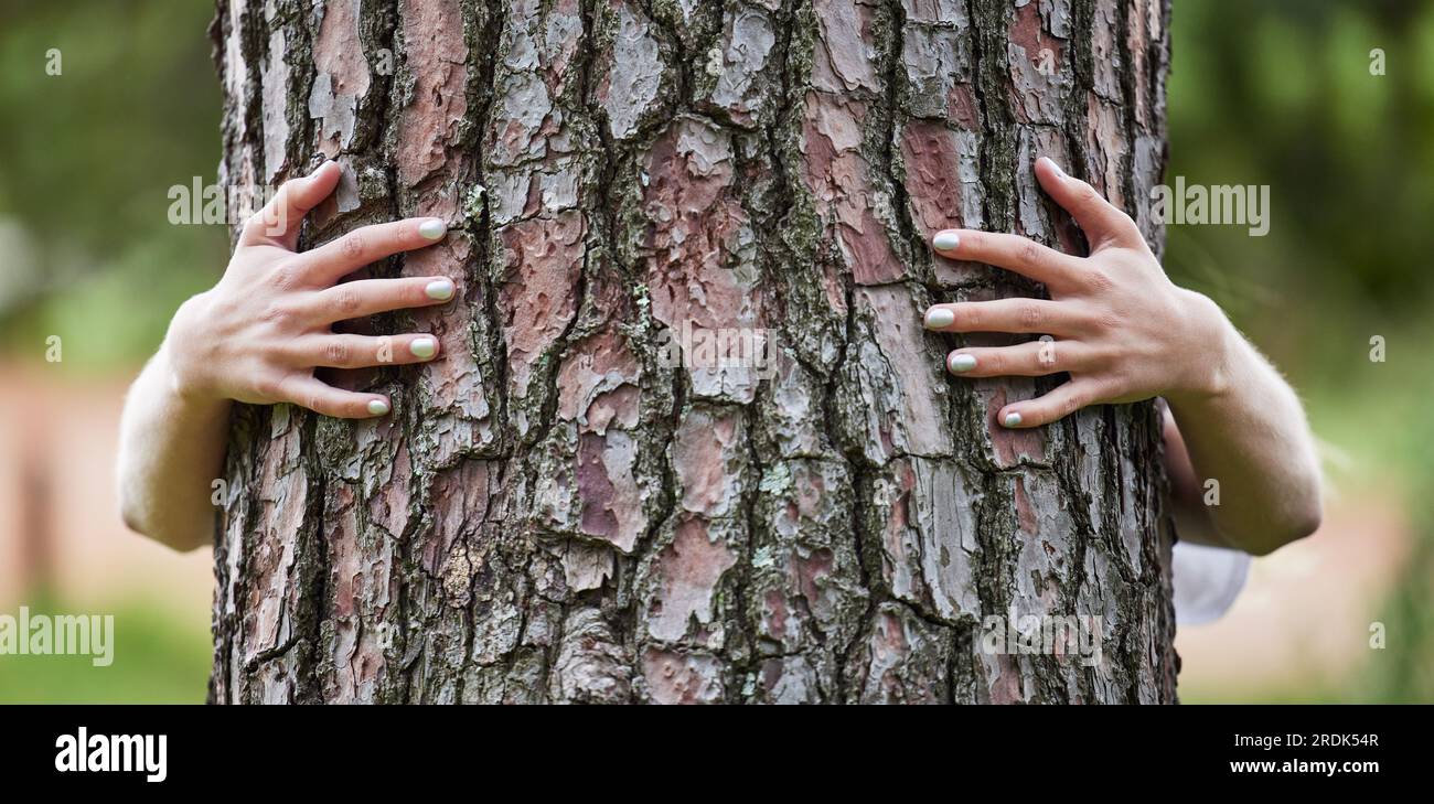 Hands, hug tree and sustainability in woods, nature or earth day for ...