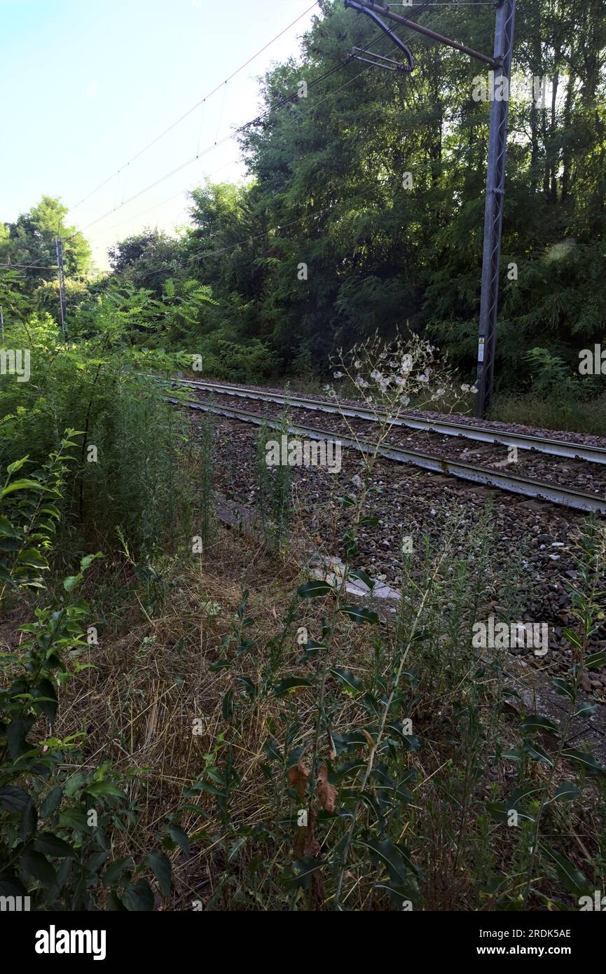 Railroad with over head cables bordered by trees in an italian town at ...