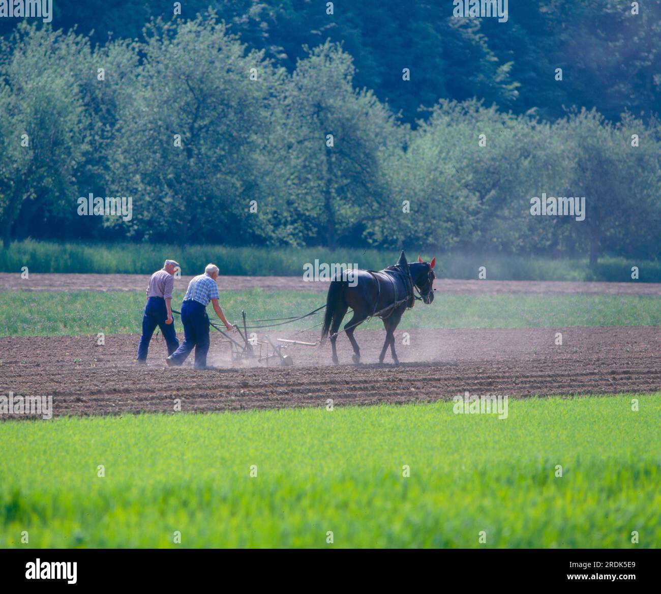 Hand plough hi-res stock photography and images - Alamy