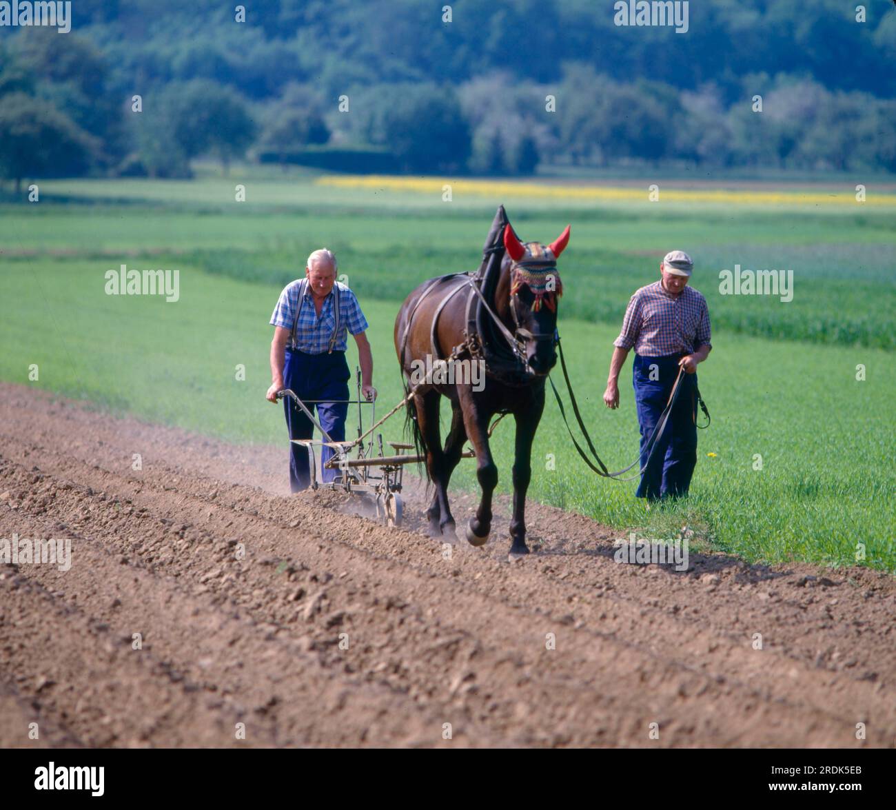 Hand plough hi-res stock photography and images - Alamy