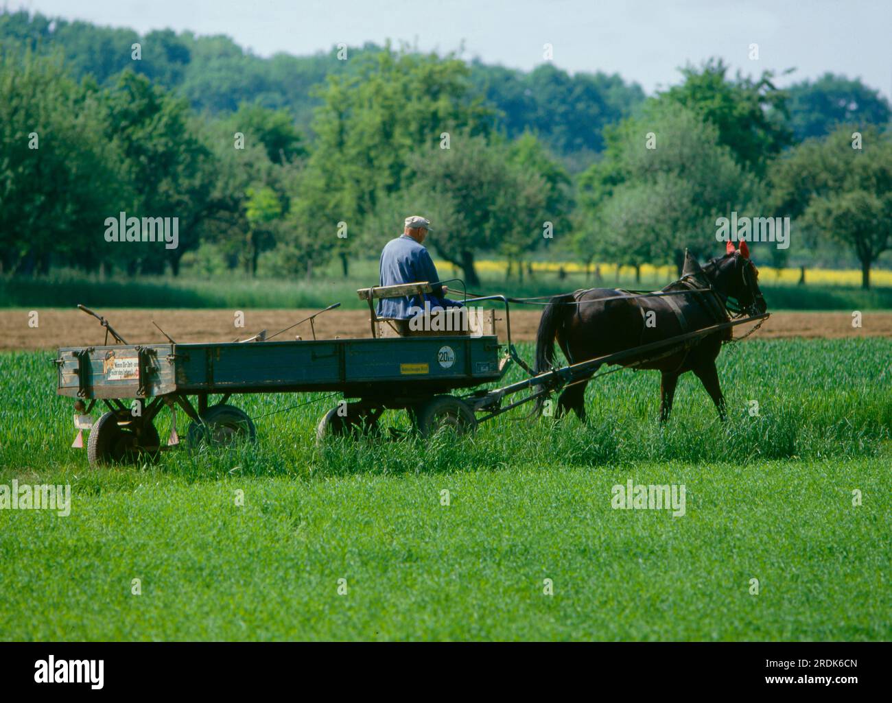 Farmer with horse and carriage hi-res stock photography and images - Alamy