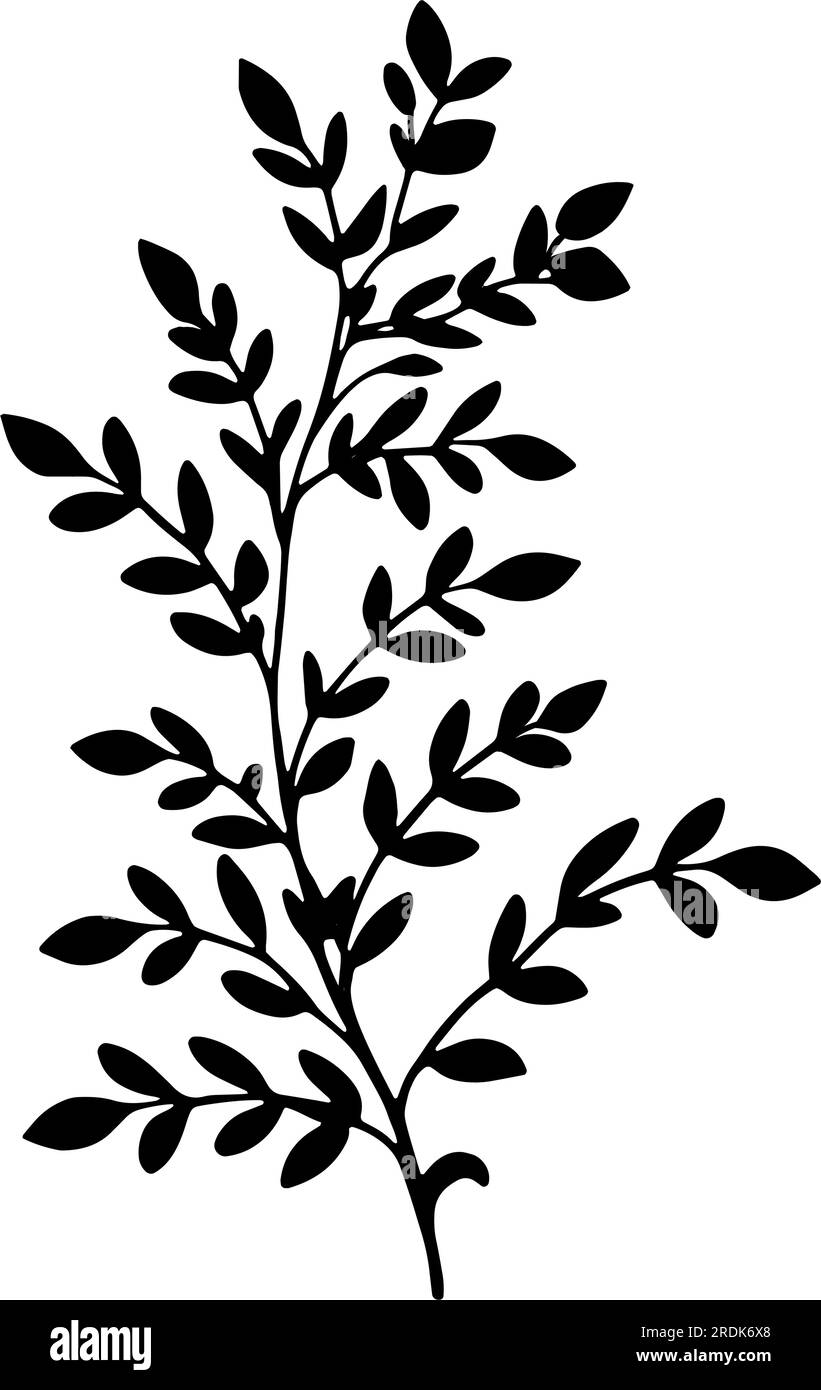 Branch with leaves and stem silhouette. Vector illustration Stock ...
