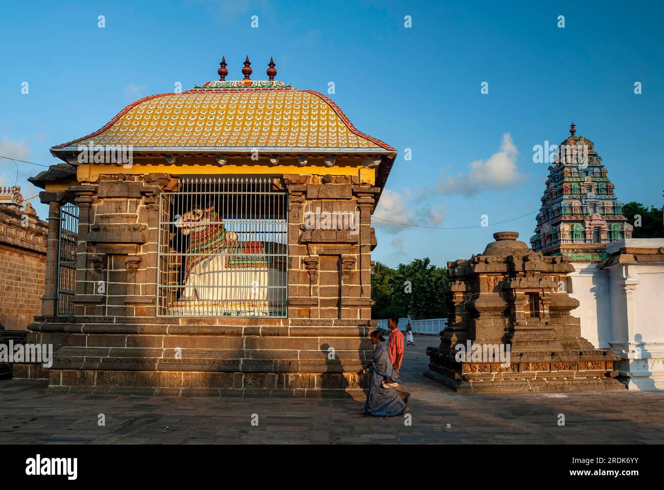 Nandi mandapam in Thillai Nataraja temple, Chidambaram, Tamil Nadu ...