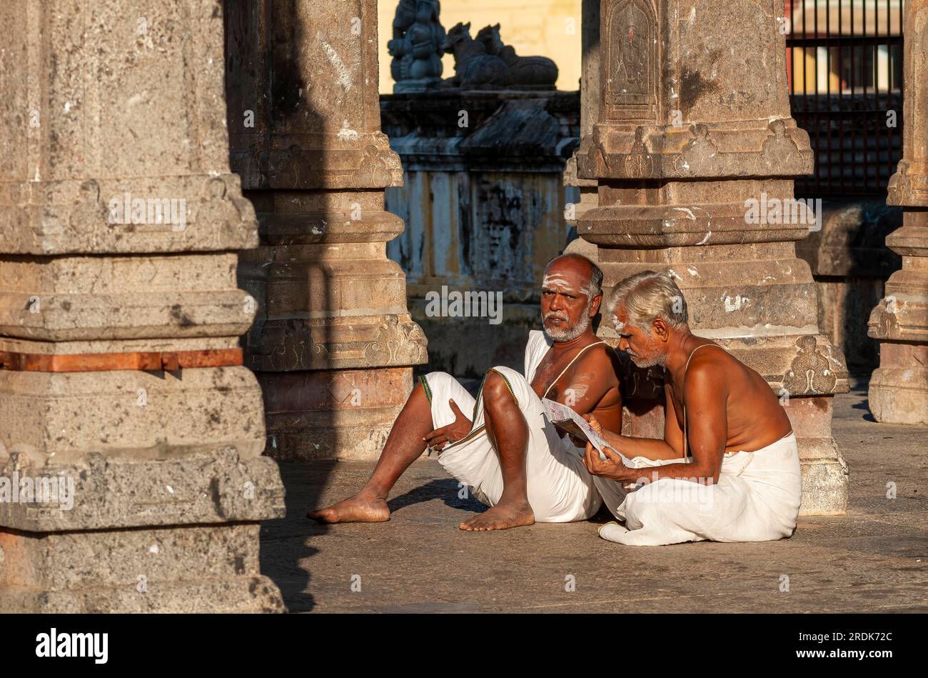 Temple priest sitting on a mandapam in Thillai Nataraja temple ...