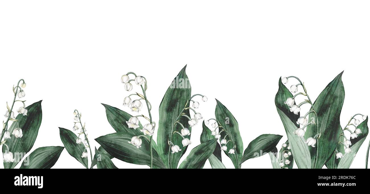 Watercolor banner with spring lilies of the valley branches. Illustration isolated, white ...