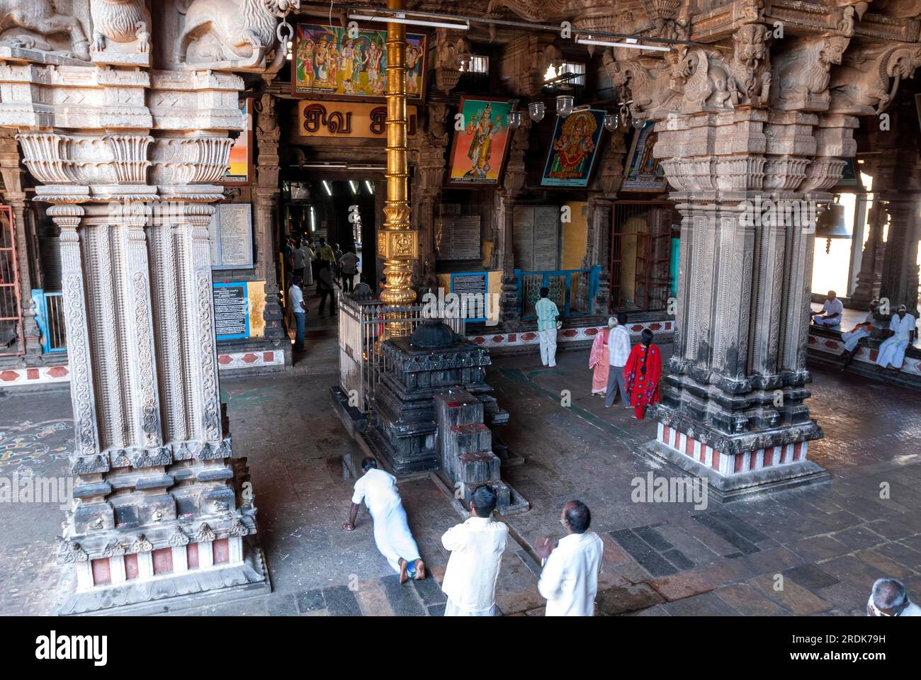Giant pillars in the second prakara corridor in Thillai Nataraja temple ...