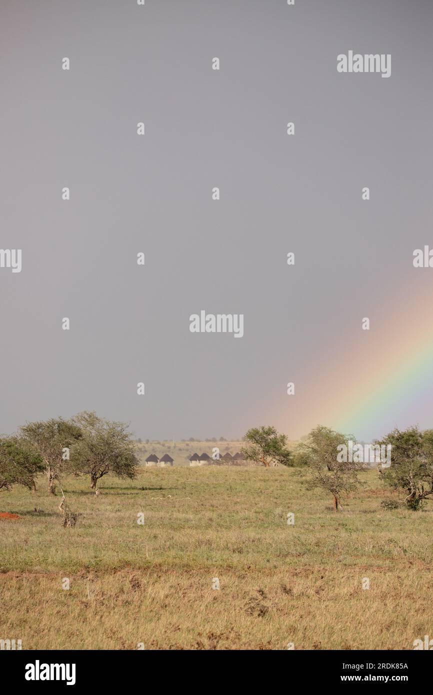 Rainy season in Kenya's savanna. Beautiful landscape in Africa at rainy ...