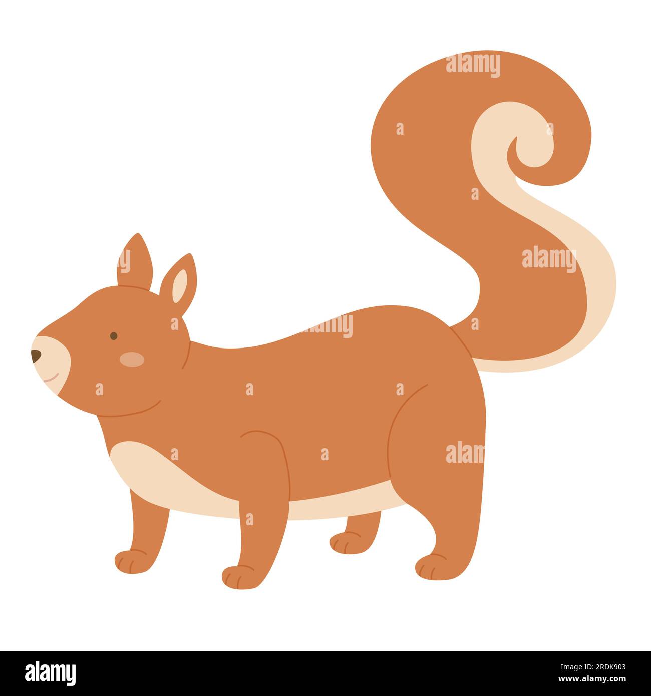 Forest squirrel. Wildlife forest rodent specie, red squirrel, forest ...