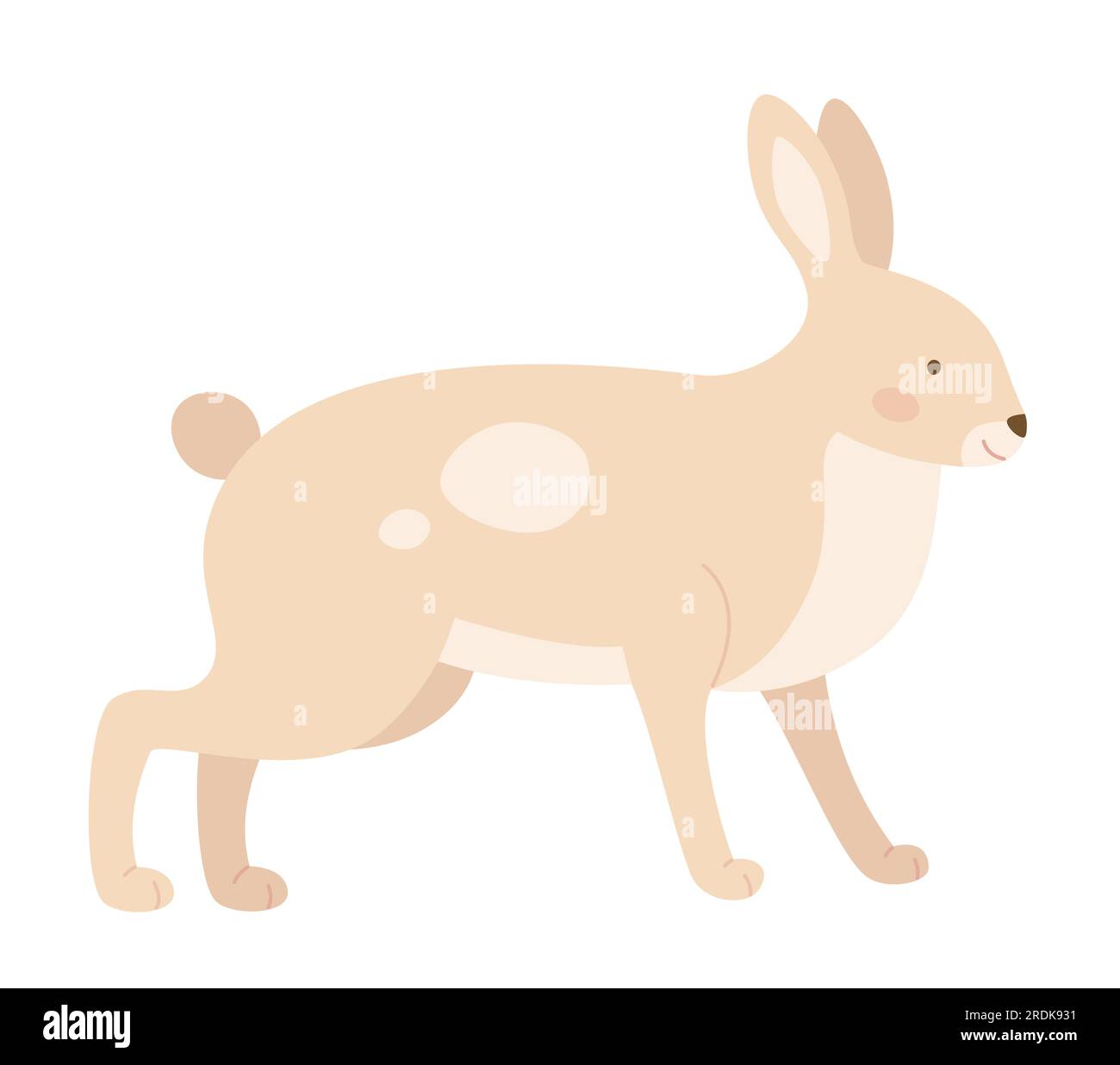 Forest animal hare. Wildlife rabbit, forest fauna, woodland animals ...