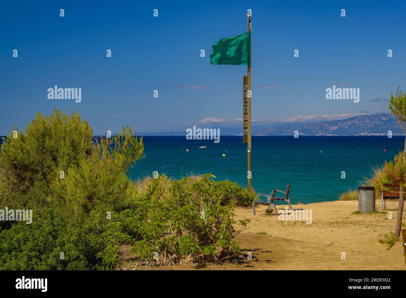 Bandera de pino hi-res stock photography and images - Alamy