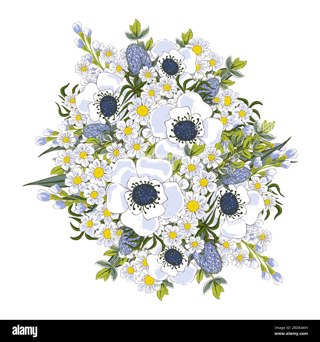 Wedding boho frames with wildflowers and daisy. Hand drawn illustration ...