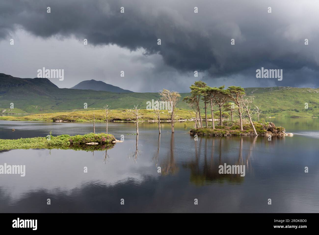 Loch Assynt. West Highlands, Scotland, UK. 15 July 2023. Photograph by ...