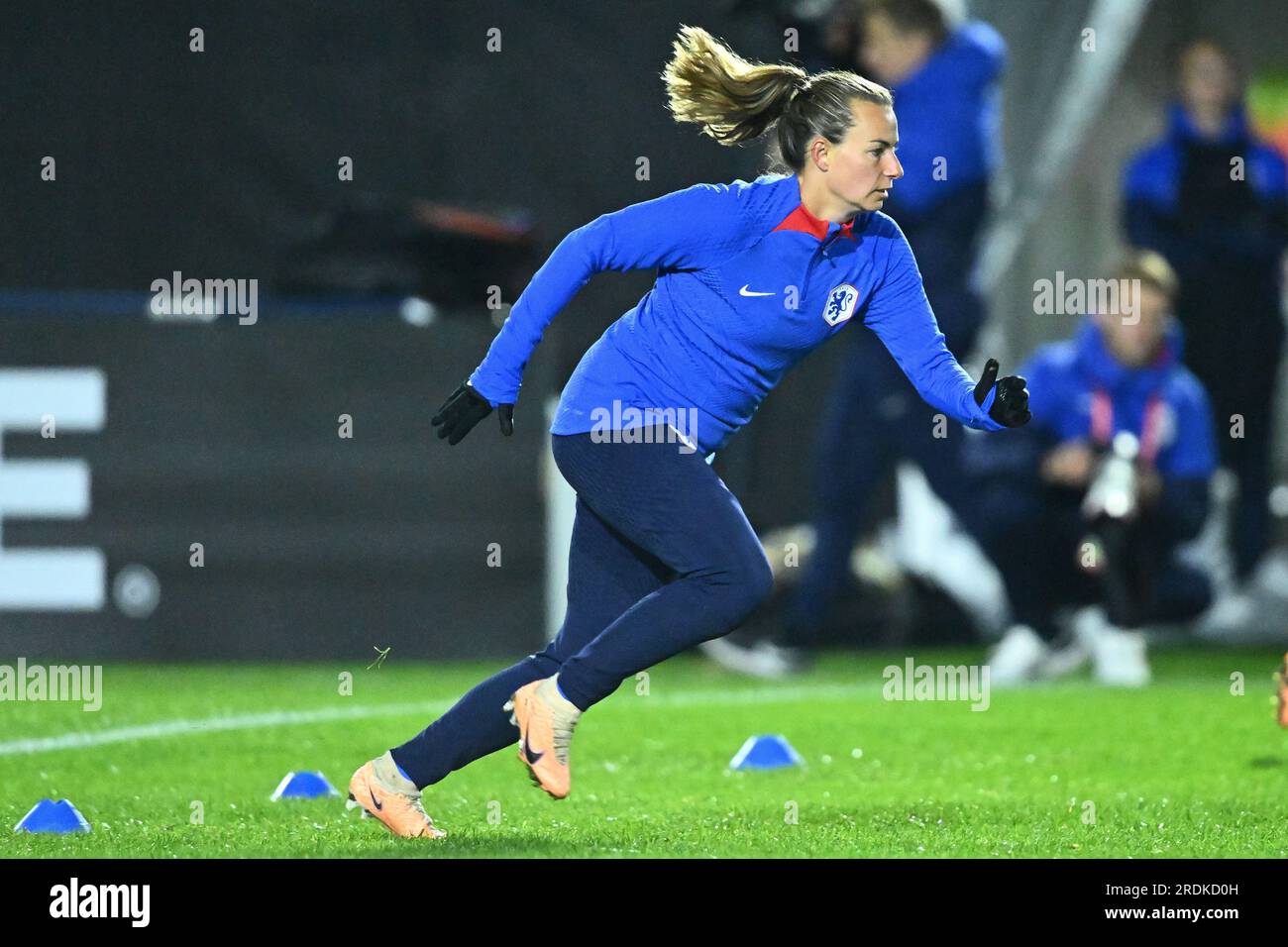 Dunedin stadium football hi-res stock photography and images - Alamy