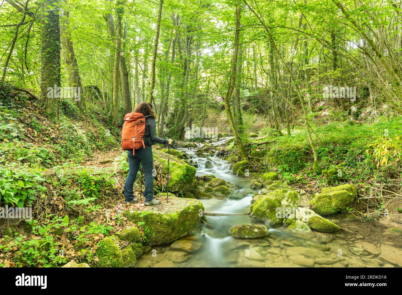 Masica hi-res stock photography and images - Alamy