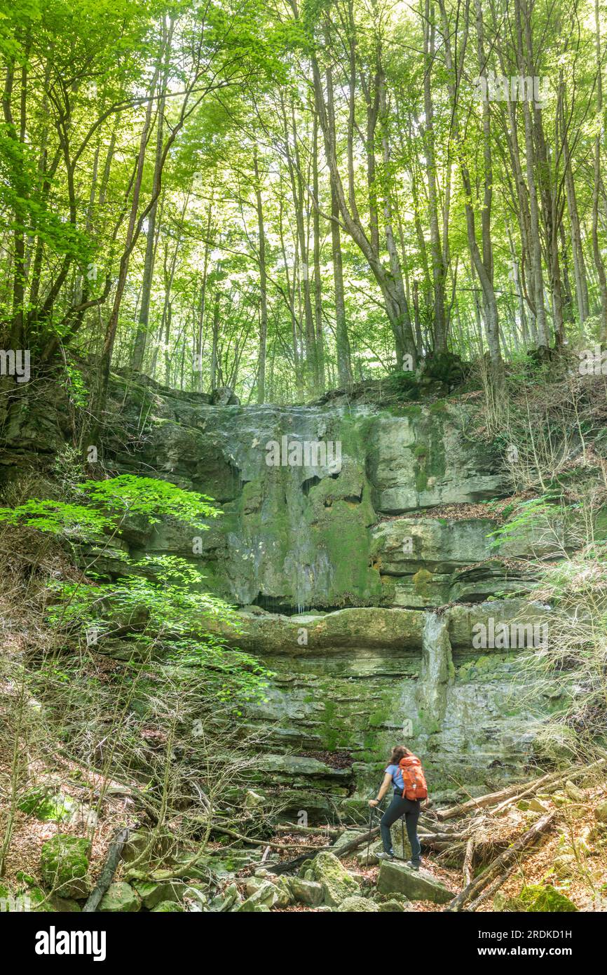 Masica hi-res stock photography and images - Alamy