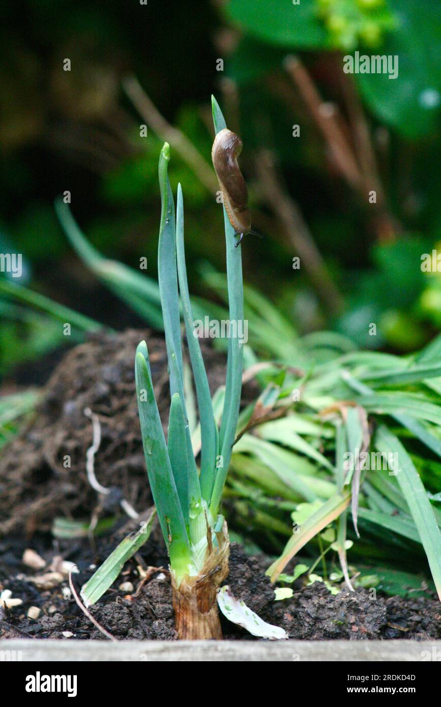 Sliding of soil hi-res stock photography and images - Alamy