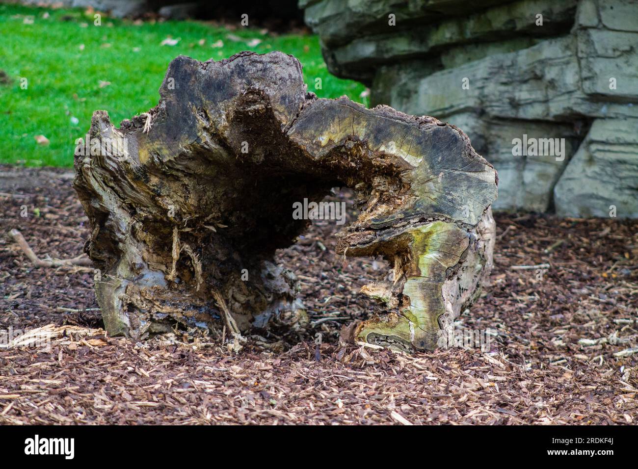 Logginh hi-res stock photography and images - Alamy