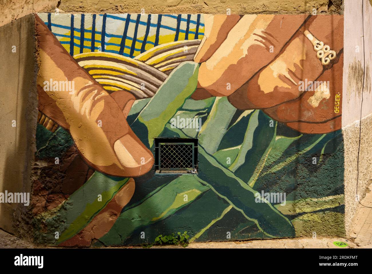 Murals painted on houses in the town of Penelles after the Gar-Gar ...