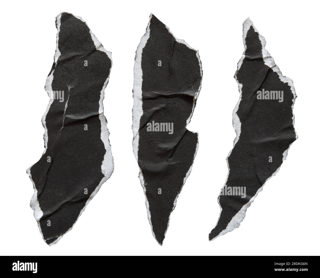 Pieces of torn black paper in animal claw shape on white background ...