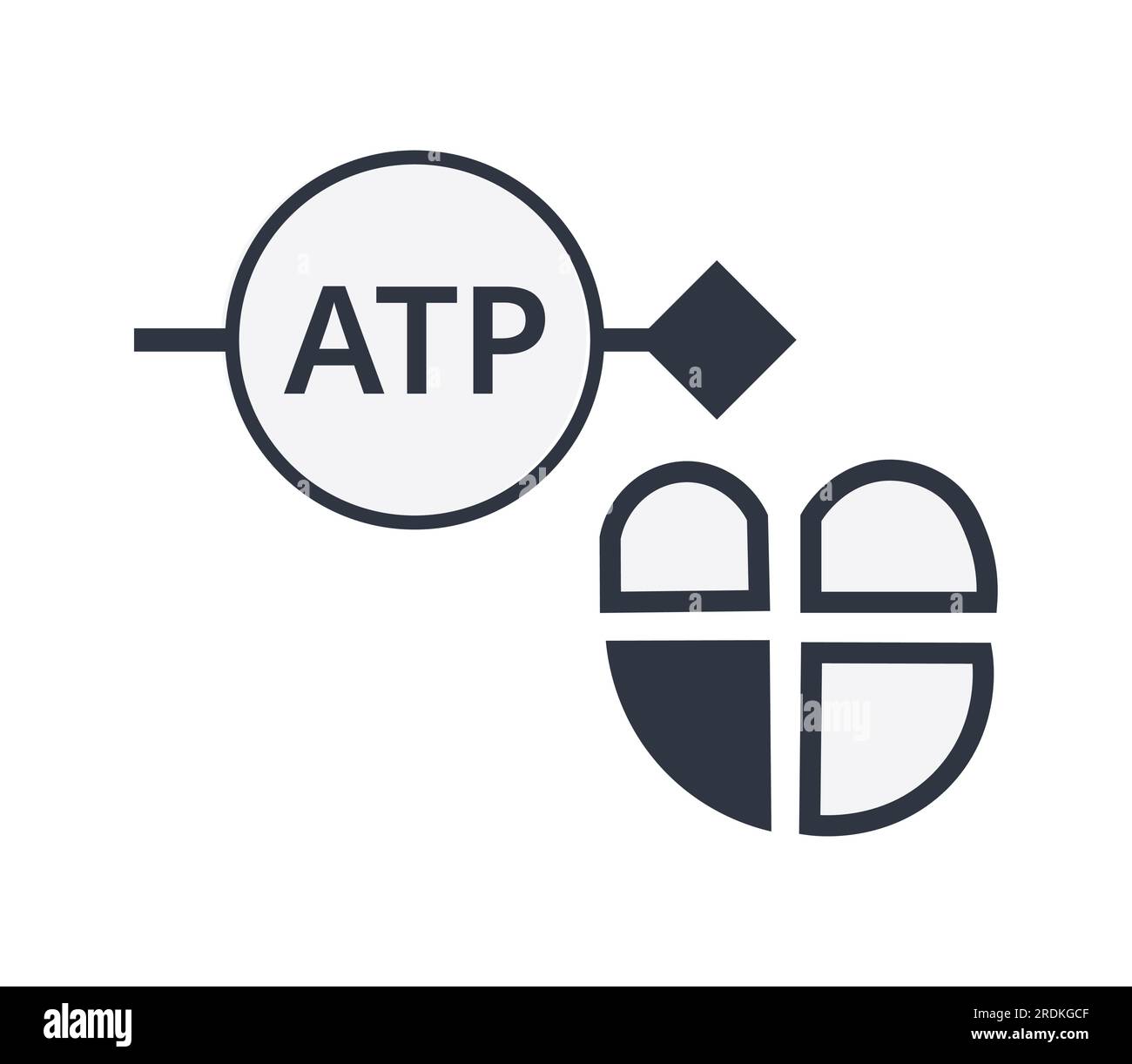 Anti-tachycardia Pacing Symbol. Right Ventricular Version Stock Vector ...