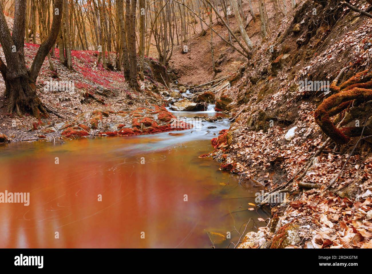 wild mountain stream in autumn, river flowing in the woods, beautiful ...