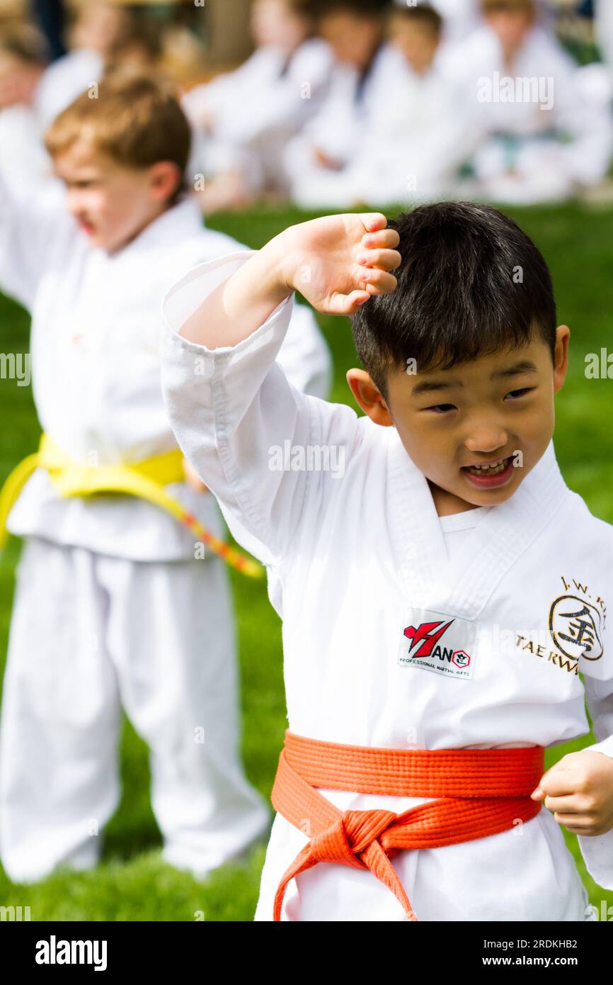 Tae Kwon Do Stock Photo - Alamy