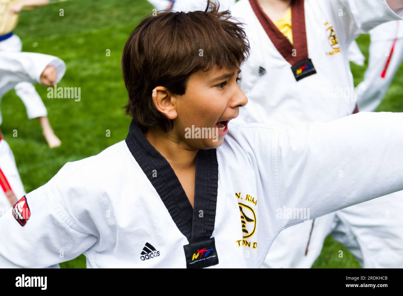 Tae Kwon Do Stock Photo - Alamy
