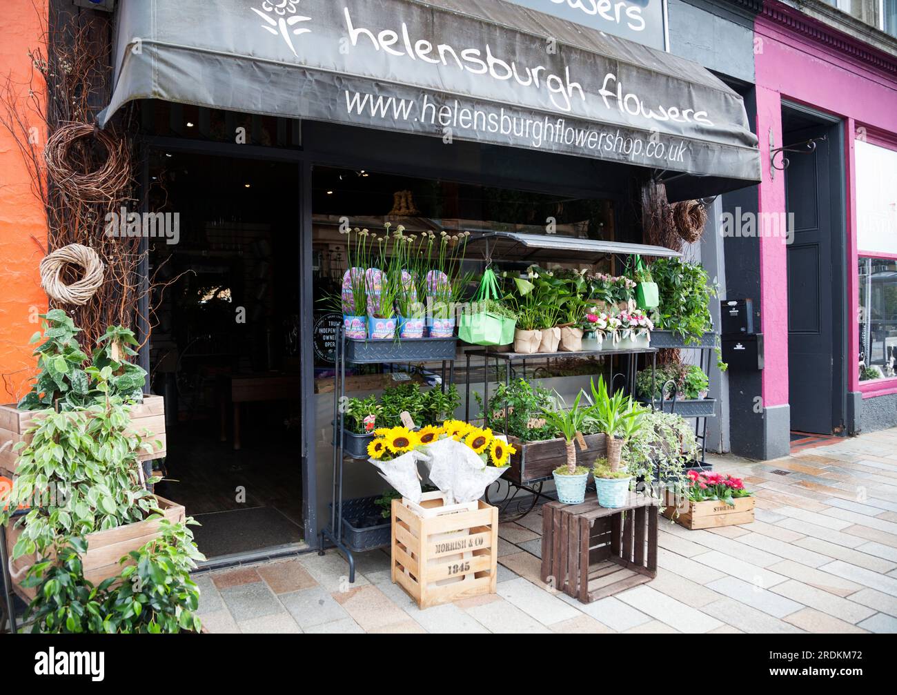 Flower shop window display hi-res stock photography and images - Alamy