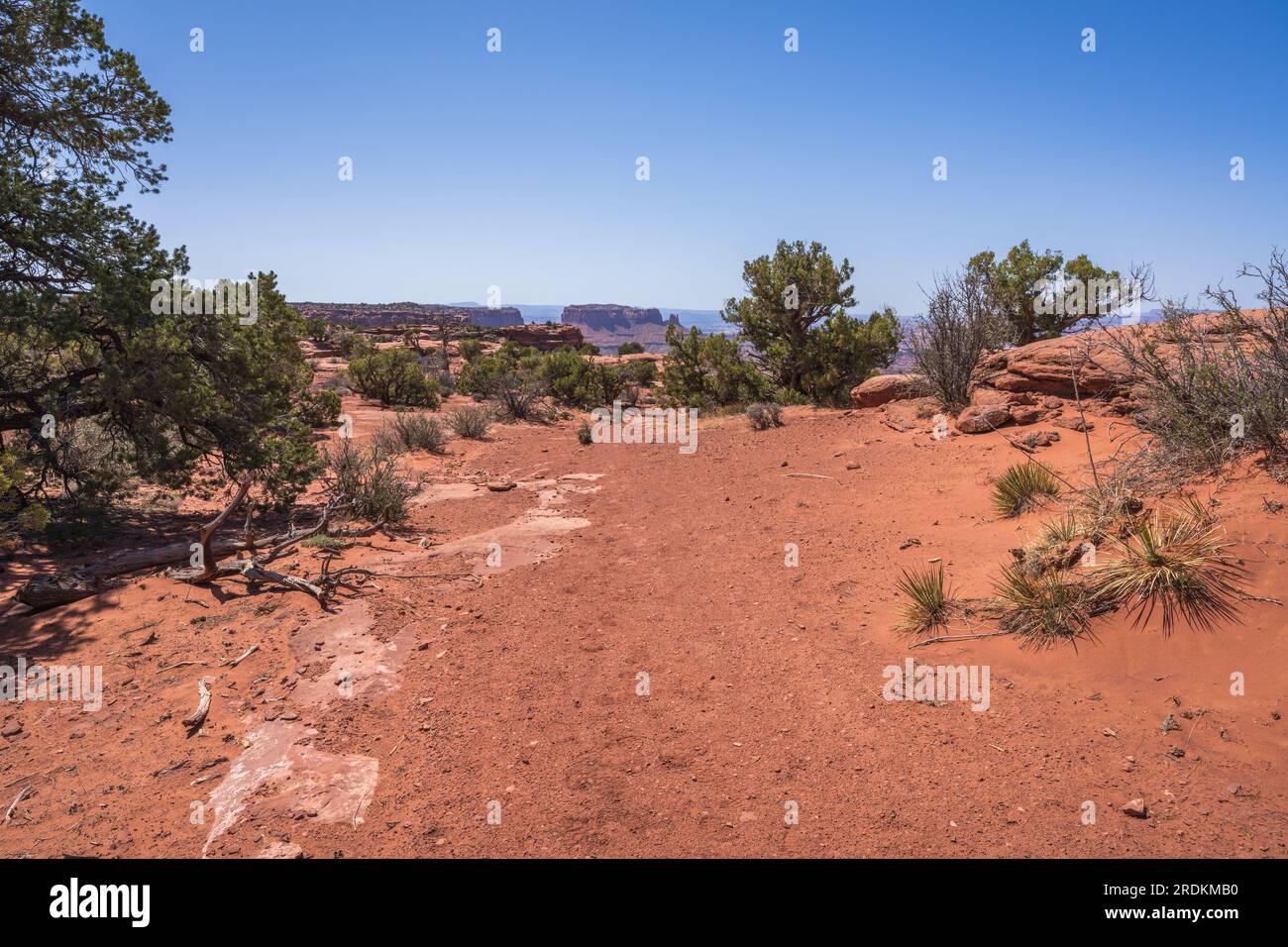 hiking the murphy trail loop in the island in the sky in canyonlands ...