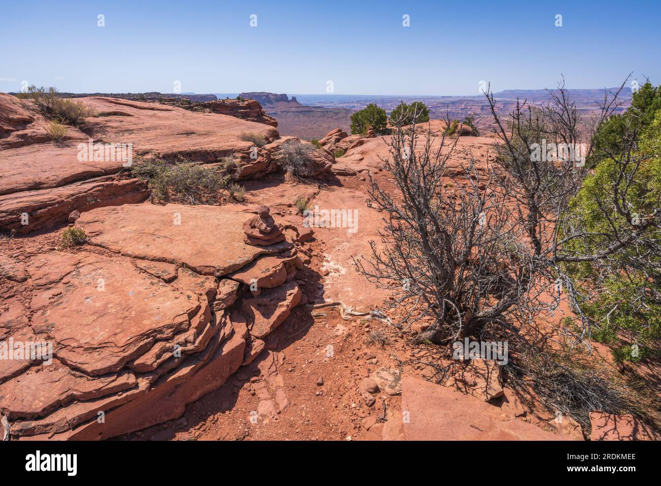 hiking the murphy trail loop in the island in the sky in canyonlands ...