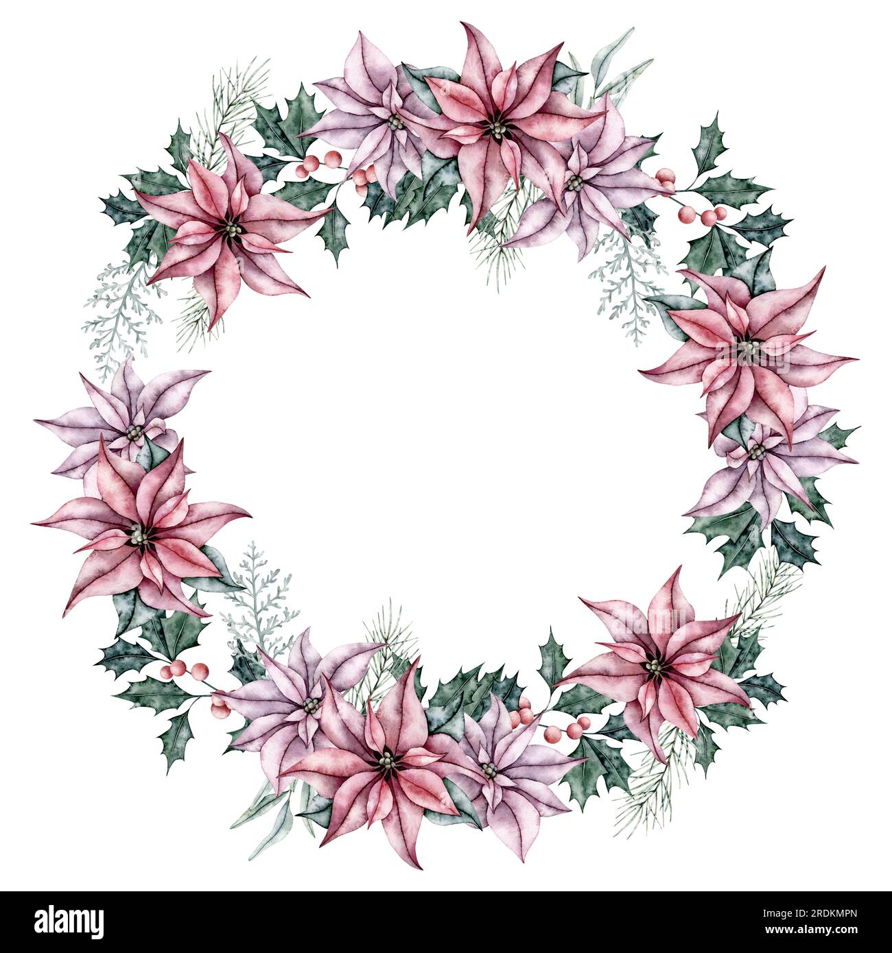 Christmas wreath of red poinsettia flower, eucalyptus, dusty miller ...