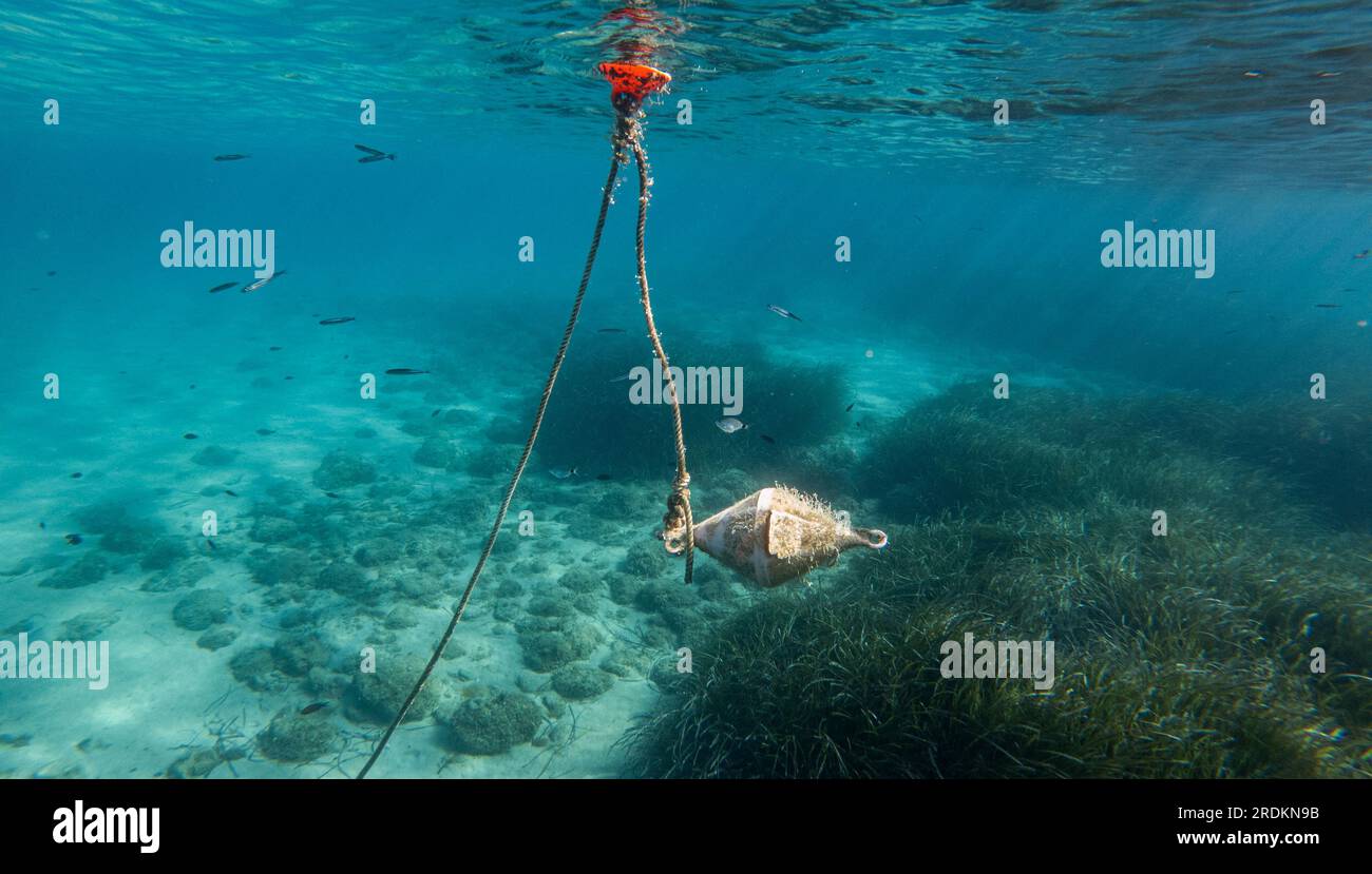 An old broken sea buoy overgrown with mollusks and underwater ...