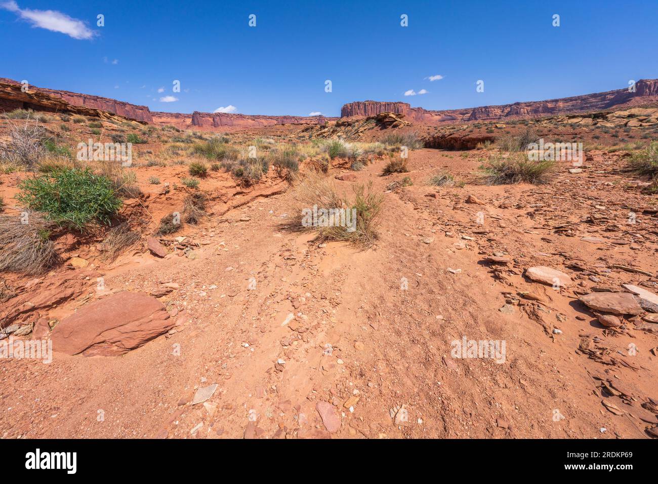 hiking the murphy trail loop in the island in the sky in canyonlands ...